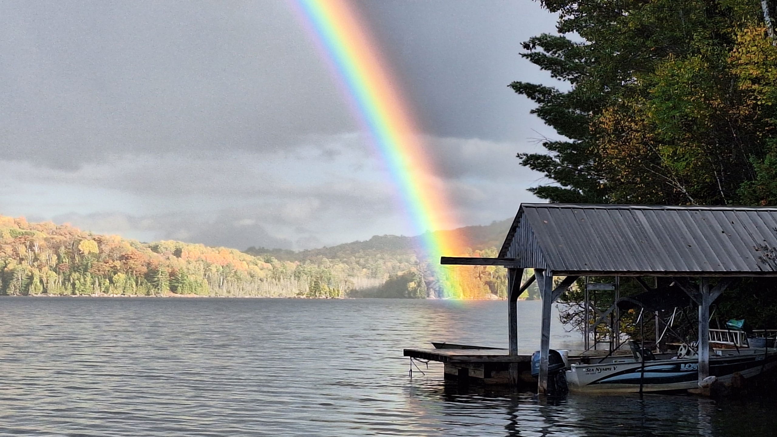 Fall 2023 | Newsletter